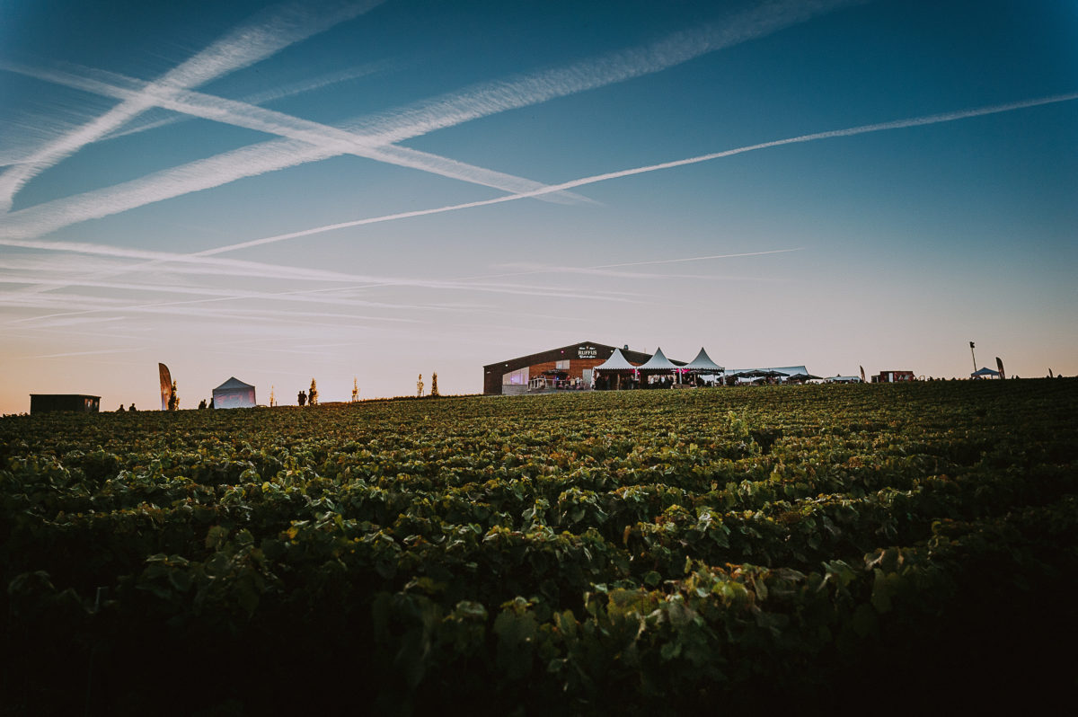 Ruffus (Vignoble des Agaises)